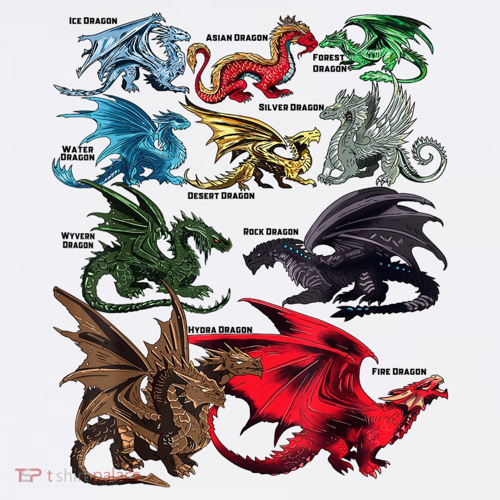 Awesome Dragon Lovers Types Of Dragons Gift Kids Long Sleeve Shirt ...