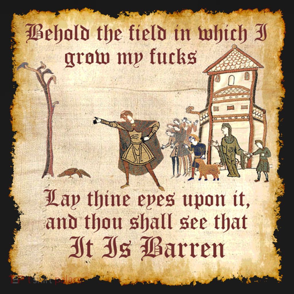 Behold The Field Medieval Dank Meme Kids Long Sleeve Shirt | TShirtPalace