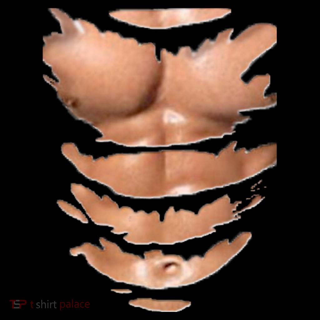 Fake Muscles Ripped Torn Chest Six Pack Abs Fitness Model Hooded ...