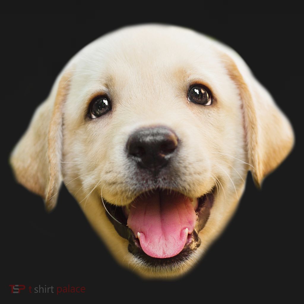Golden Retriever Pup Face Sustainable Bucket Hat | TShirtPalace