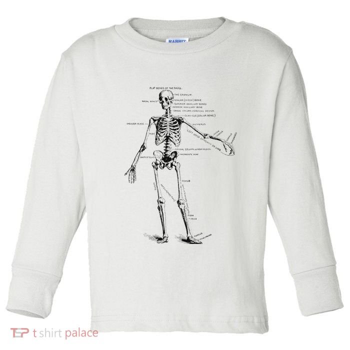 Human Skeleton Anatomy Drawing Diagram Toddler Long Sleeve Shirt ...