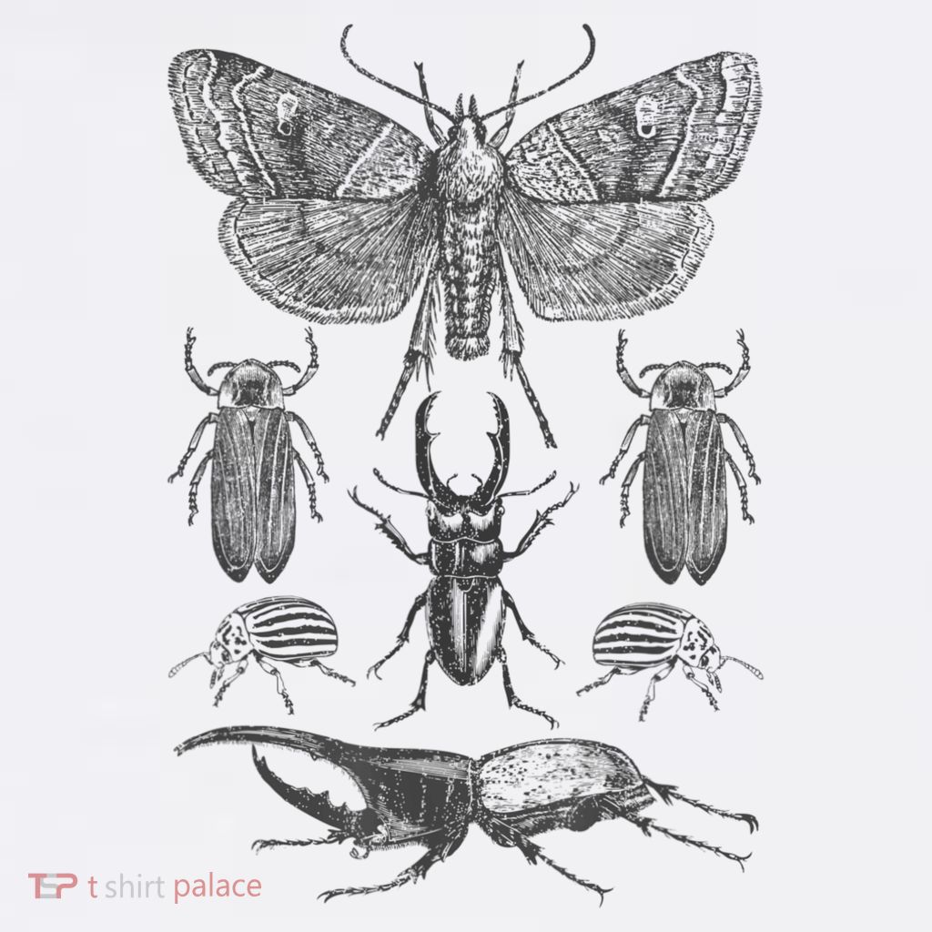 Insect Bug Collection Moth Stag Beetle Cicada Hat | TShirtPalace
