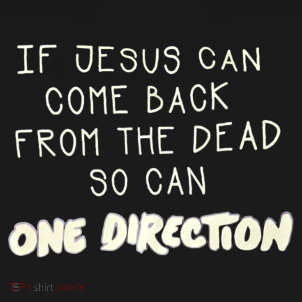 If Jesus Can Come Back From The Dead So Can One Direction Visor ...