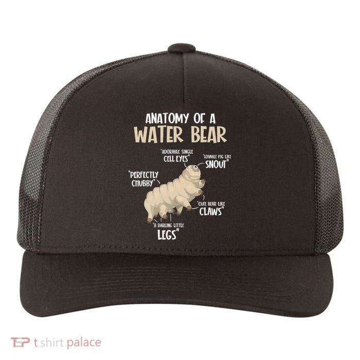 Microbiology Water Bear Science Facts Tardigrade Anatomy Yupoong Adult ...