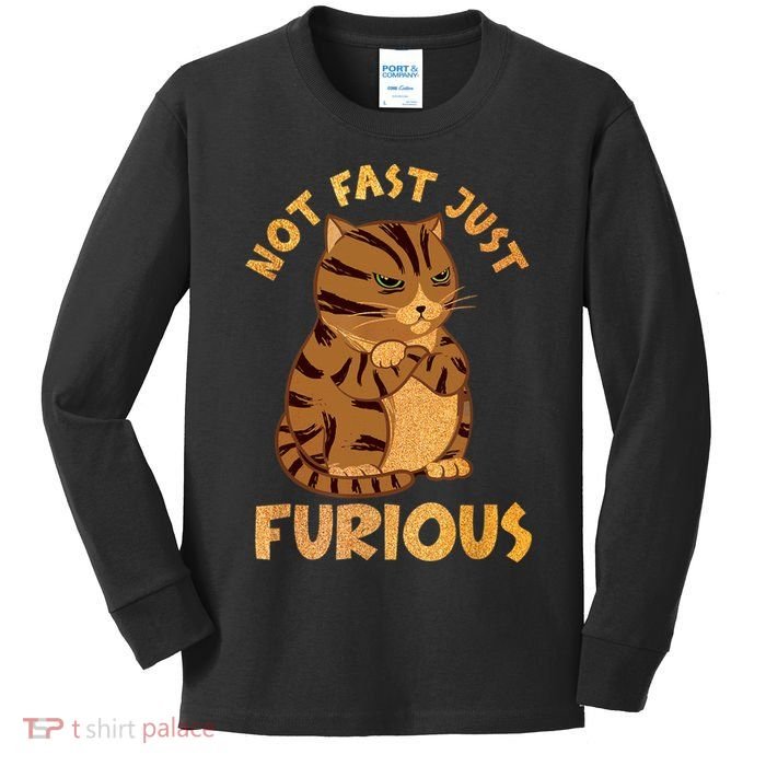 Not Fast Just Furious Funny Cute Grumpy Fat Cat Pet Lovers Kids Long ...