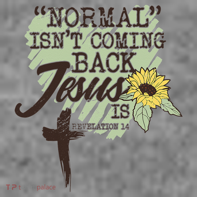 Normal Isnt Coming Back Jesus Is Tall Hoodie | TShirtPalace
