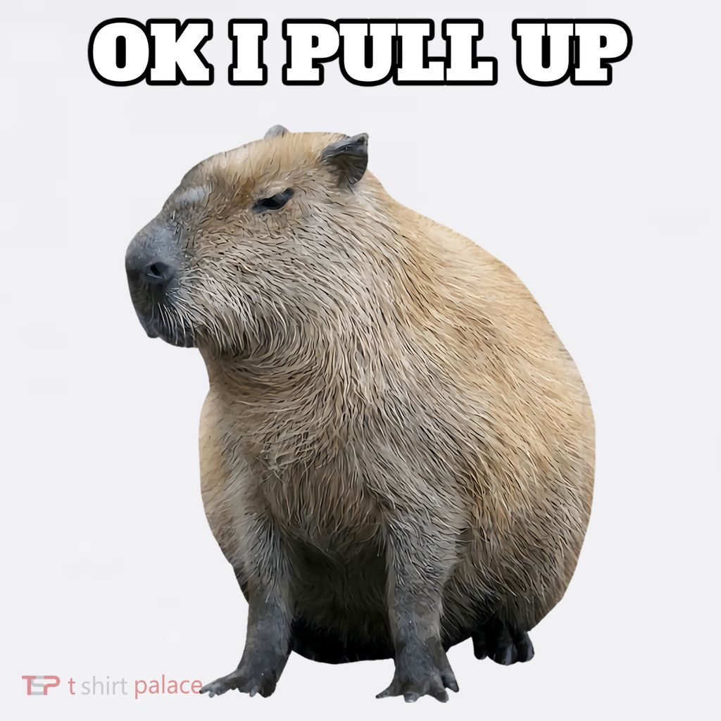 Ok I Pull Up Capybara Gift Funny Capybara Meme Ok I Pull Up