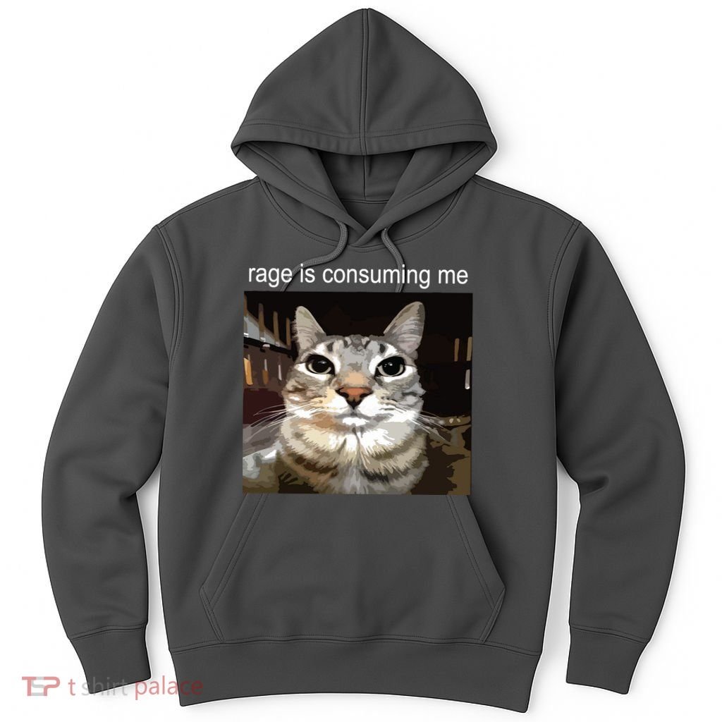 Rage Is Consuming Me Silly Staring Cat Meme Hoodie | TShirtPalace