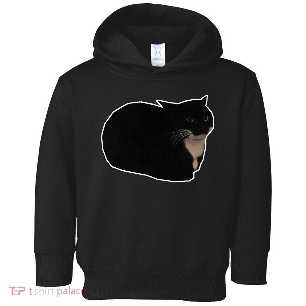Spinning Cat Meme Maxwell The Cat Meme Toddler Hoodie | TShirtPalace