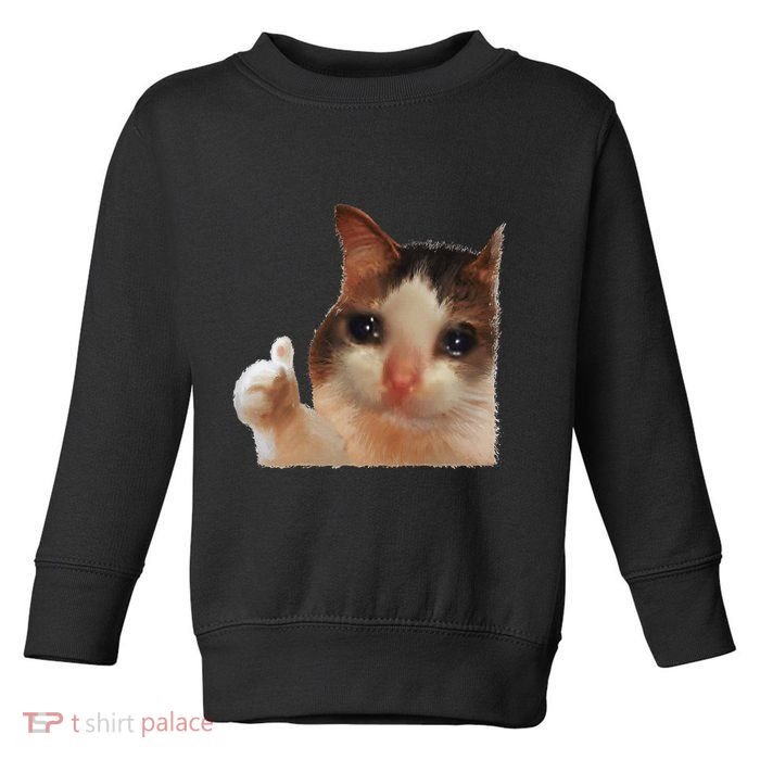Thumbs Up Crying Cat Meme Cat Crying Thumps Up Memes Sad Cat Toddler ...
