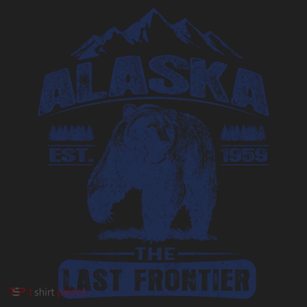 Vintage Alaska The Last Frontier Bear Alaska Gift Knit Cap Winter ...
