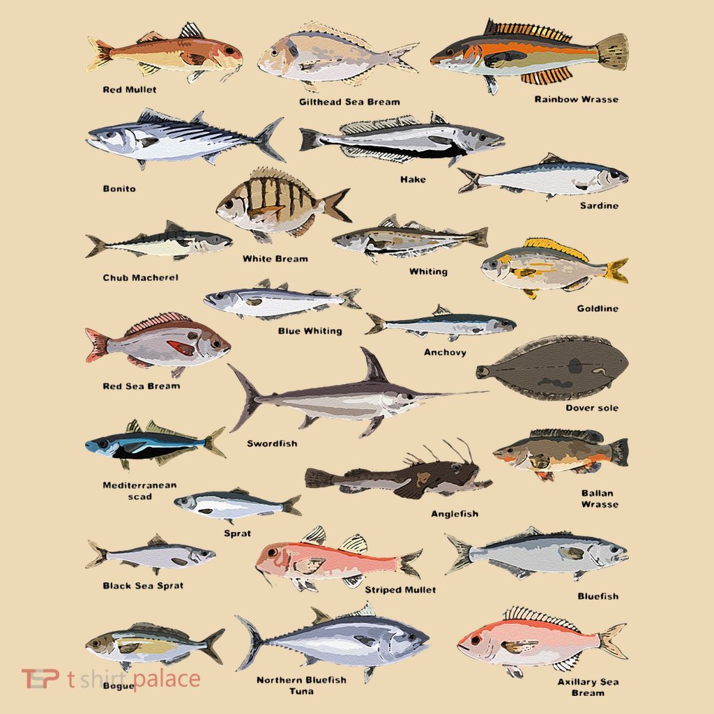 Vintage Fish Identification Chart Fishing Bag | TShirtPalace